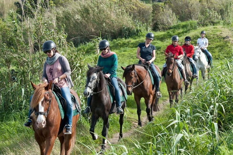 Faial Island: Horseback Riding on Lusitano Trail - Meeting Point and Logistics