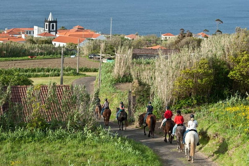 Faial Island: Horseback Riding on Lusitano Trail - The Sum Up: Who Will Love This Experience?