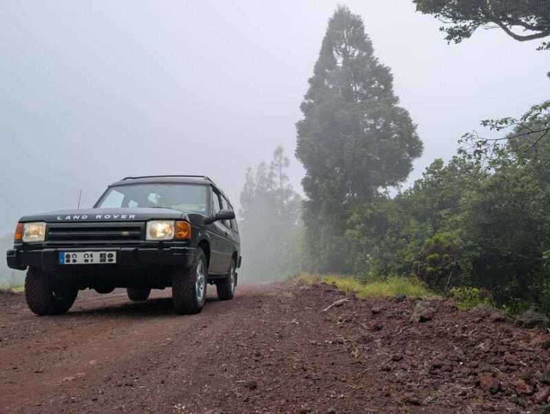 Faial: Private 4WD Full Day Island Tour with Local Guide - What Travelers Say