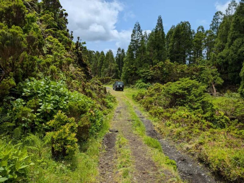 Faial: Private 4WD Full Day Island Tour with Local Guide - Who Will Love This Tour?