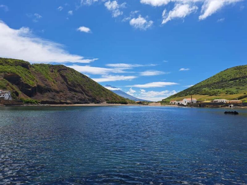 Faial: Private 4WD Half Day Island Tour with Local Guide - Frequently Asked Questions