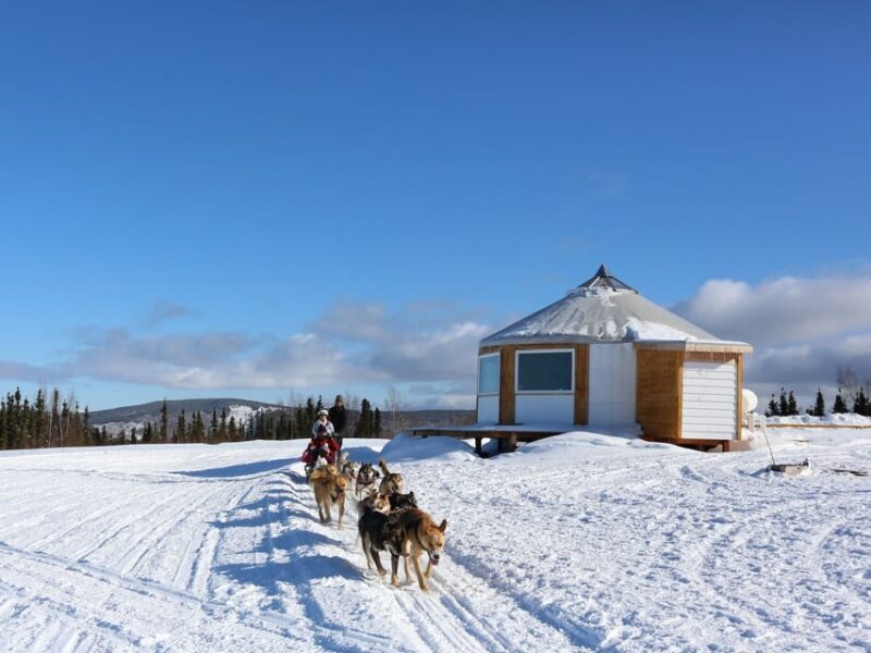 Fairbanks: 1-Hour Alaskan Winter Dog Sledding Adventure - FAQ