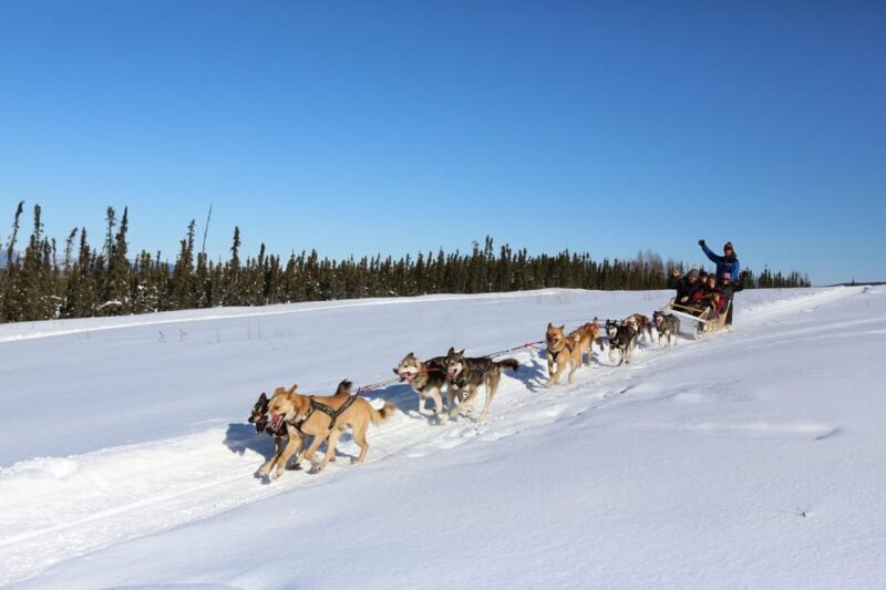 Fairbanks: 1-Hour Alaskan Winter Dog Sledding Adventure - What’s Included and How it Works
