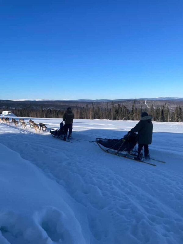 Fairbanks: 2-Hour Basic Dog Mushing School - Key Points