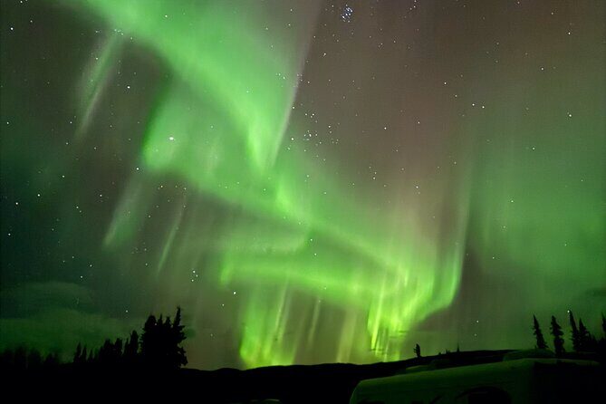 Fairbanks Alaska Luxury Car Private Tour - What Travelers Have Said