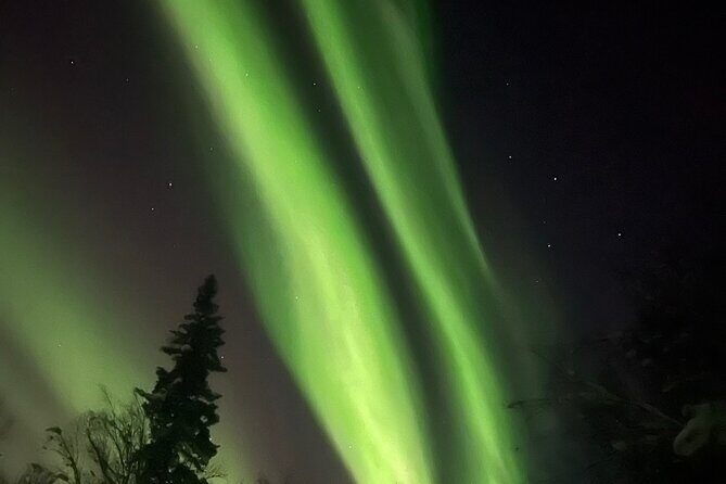 Fairbanks Aurora Viewing and Ice Fishing Tour - The Bottom Line