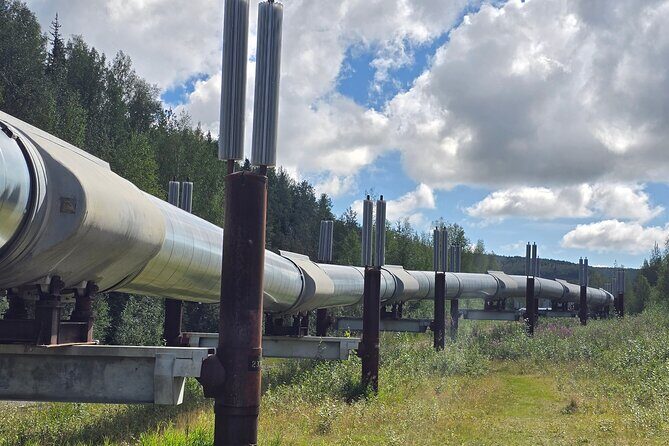 Fairbanks City Tour - Who Should Consider This Tour