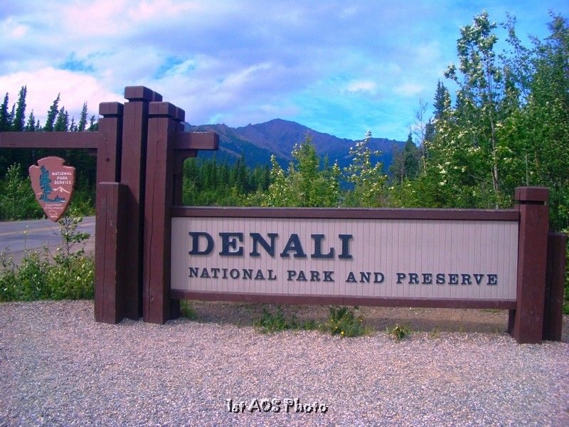 Fairbanks  Denali Shuttle Service - Why Choose This Shuttle Service?