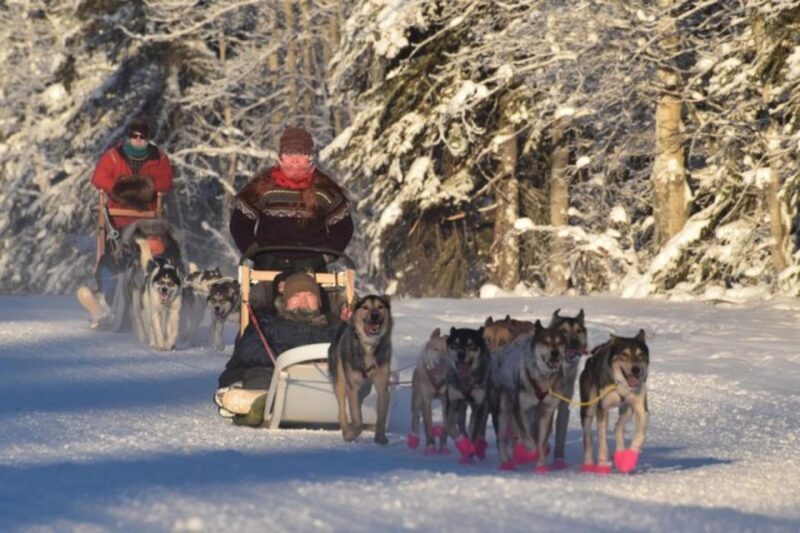 Fairbanks: Dog Sledding and Mushing Experience - Final Thoughts