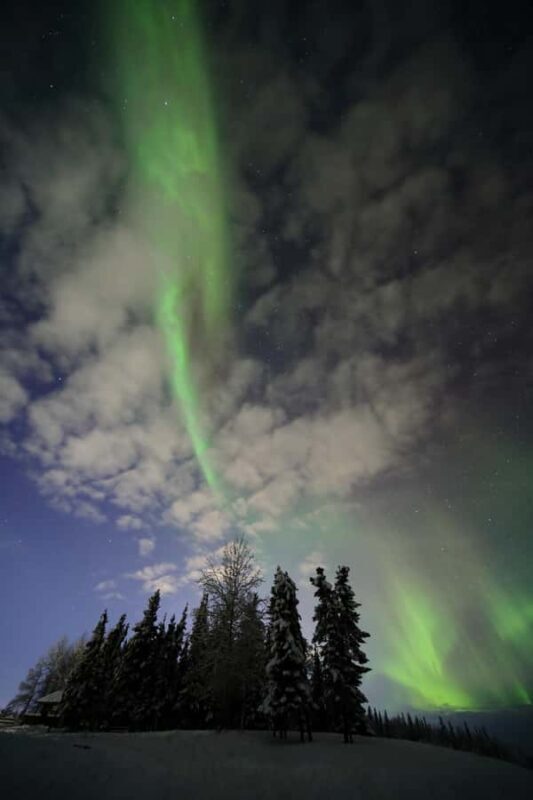 Fairbanks: Electric Moose Studios Aurora Adventure W/Pizza!! - Is This Tour Worth It?