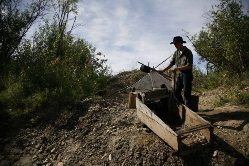 Fairbanks: Gold Dredge 8 Historic Train Tour - Who Will Love This Tour?
