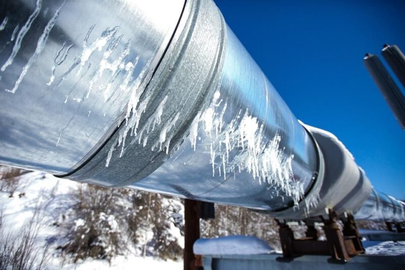 Fairbanks Heritage Sightseeing Tour - A Close Look at What You’ll Experience
