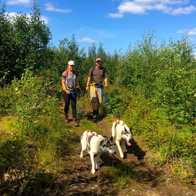 Fairbanks: Husky Hiking Tour - An Overview of the Husky Hike Experience