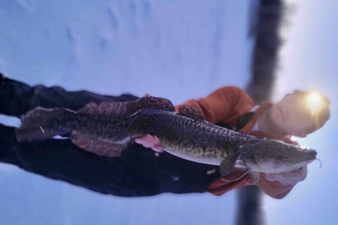 Fairbanks Ice Fishing with Transportation - Weather and Safety Considerations