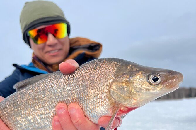 Fairbanks Ice Fishing with Transportation - In The Sum Up