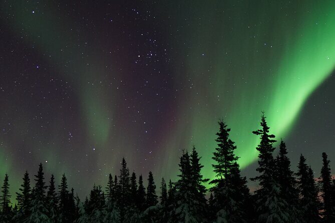 Fairbanks Northern Lights Adventure with free Aurora portraits - Discovering the Fairbanks Northern Lights Adventure