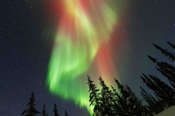 Fairbanks Northern Lights Adventure with free Aurora portraits - Is This Tour Worth the Price?