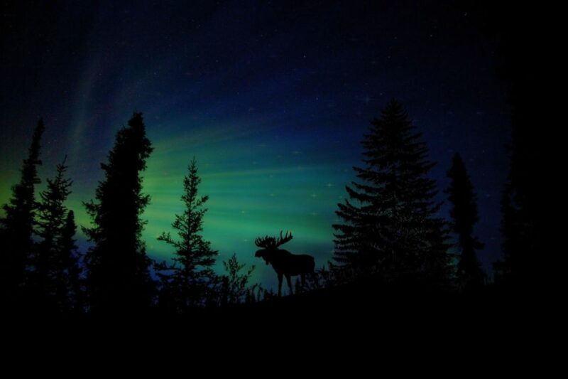 Fairbanks: Northern Lights and Chena Hot Springs Tour - The Journey and Itinerary Breakdown