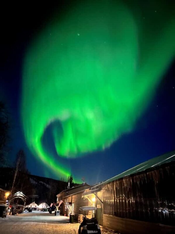 Fairbanks: Northern Lights & Chena Hot Springs Tour - Who Will Love This Tour?