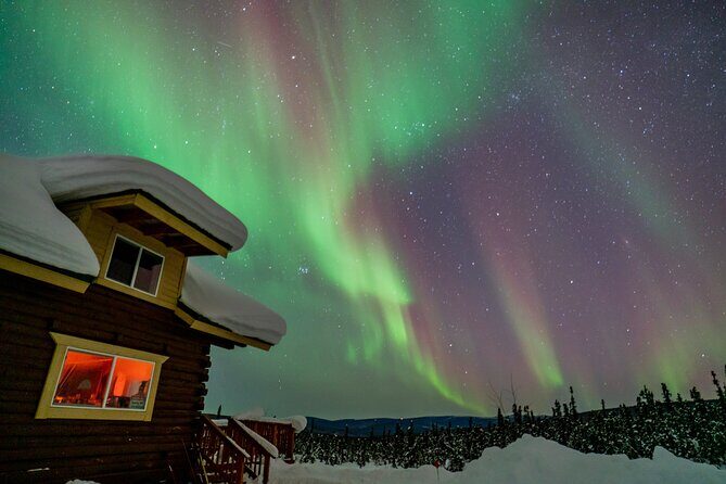 Fairbanks Northern Lights Tour - Authentic Experiences From Reviews