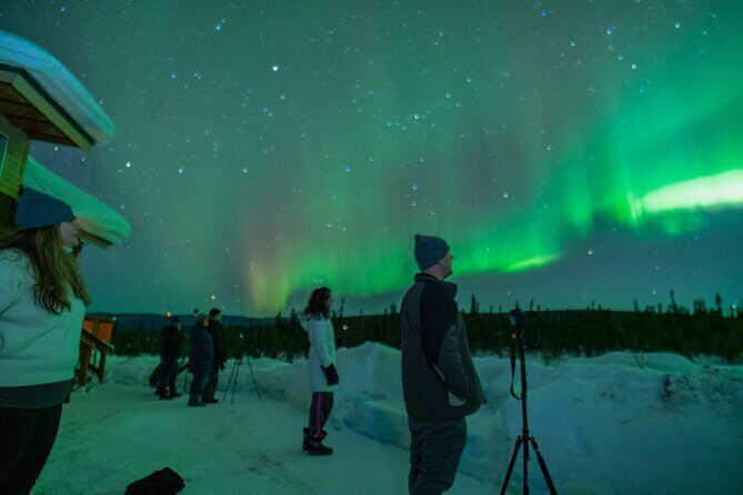 Fairbanks Northern Lights Tour - Who Should Consider This Tour?