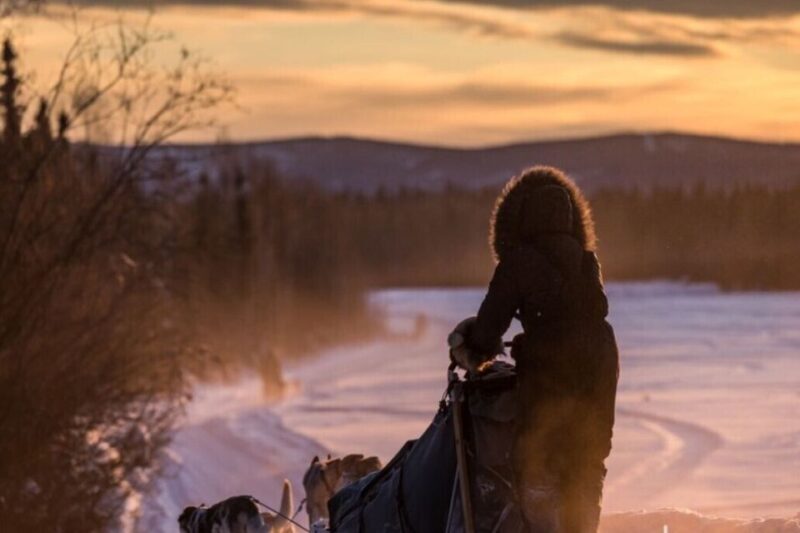 Fairbanks: Private Mush on the Historic Yukon Quest Trail - An In-Depth Look at the Experience