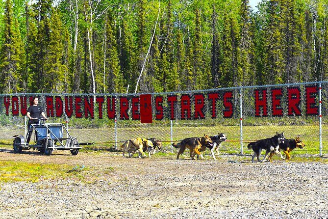 Fairbanks Sled Dog Adventure with Campfire & S'mores - Who Should Book This Tour