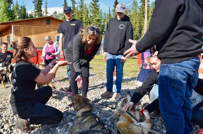 Fairbanks Sled Dog Adventure with Campfire & S'mores - The Sum Up: Why You Should Consider This Tour