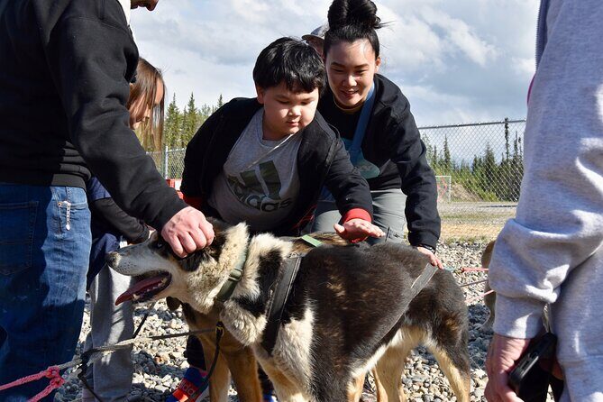 Fairbanks Sled Dog Adventure with Campfire & S'mores - FAQ