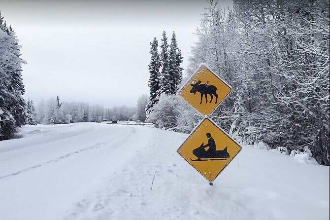 Fairbanks Snowmobile Adventure from North Pole - An Exciting Way to Explore Alaska’s Winter Wonderland