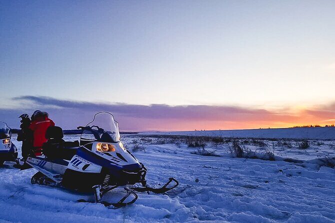 Fairbanks Snowmobile Adventure from North Pole - Scenic Highlights and Wildlife Encounters