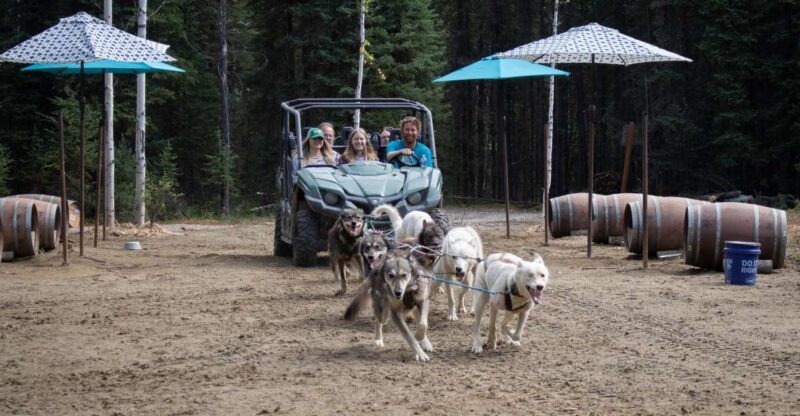 Fairbanks: Summer Mushing Cart Ride and Kennel Tour - The Sum Up