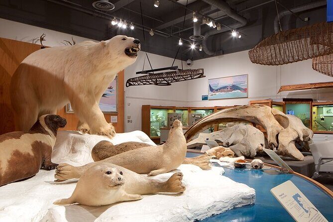 Fairbanks Top City Highlights Tour Summer/Fall - A Deep Dive into the Fairbanks Highlights Tour