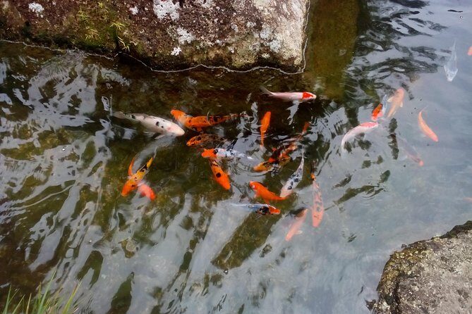 Fairy Tale Colmar Tropicale, Japanese Garden, Genting Highlands - FAQ