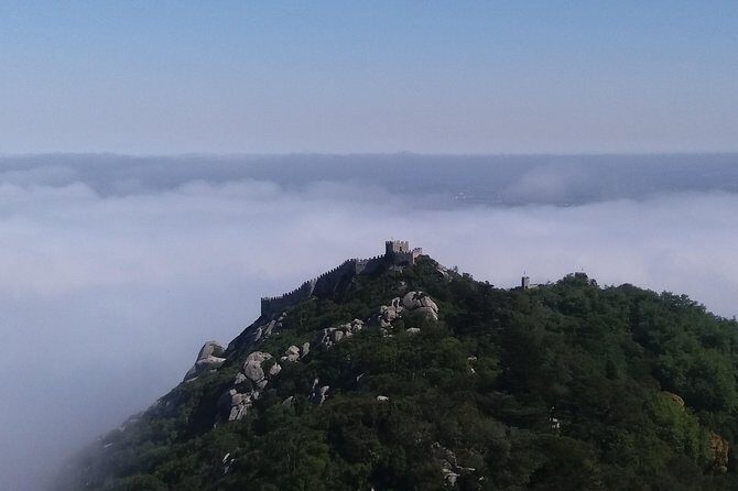 Fairy-Tale Romantic Sintra & Fishermen Village Cascais Highlights - Food & Drink: A Taste of Portugal