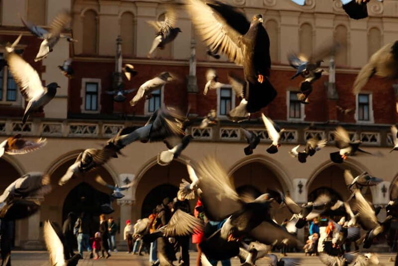 Fairy Tales and Legends of Krakow Guided Tour - Final Thoughts: Who Should Join?