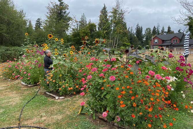 Faithful Hands Farm Tour - The Sum Up
