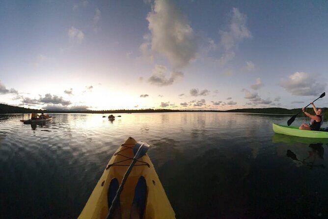 Fajardo Bioluminescent Bay Night Kayak Adventure from San Juan - Final Thoughts: Is It Worth It?