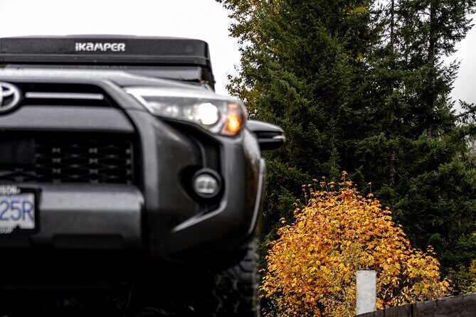 Fall Adventure Vancouver Island Grizzly Bears, High Tea and More - An In-Depth Look at the Itinerary