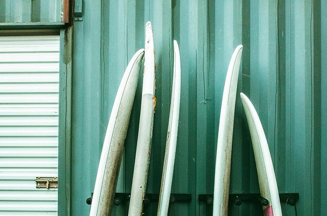 Fall Adventure Vancouver Island Grizzly Bears, High Tea and More - Now, you’re ready to plan your perfect fall getaway on Vancouver Island. Feel free to reach out for more details, or start packing your camera and sense of adventure. This could be your most memorable autumn yet.