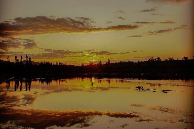 Fall Color Tour in Yukon from Whitehorse - Who Should Consider This Tour?