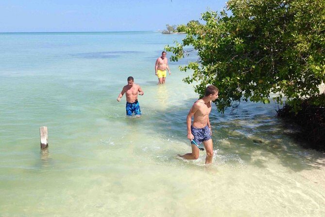 Fall in love with the Holbox island tour, Punta Mosquito & lunch. - Who Will Enjoy This Tour?