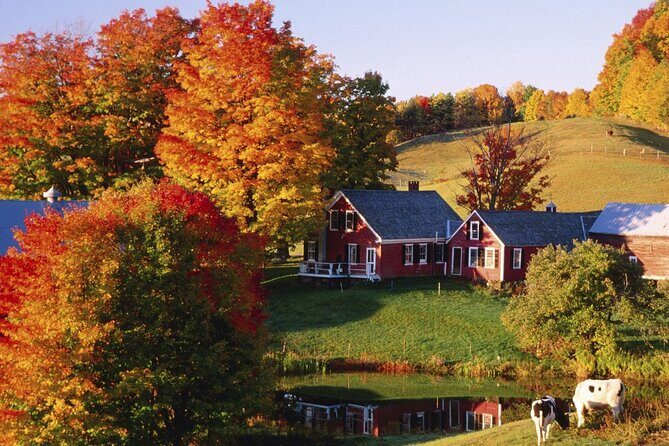 Fall Season, Vermont Maple Fall Foliage 2-Day Tour from New York - Key Points