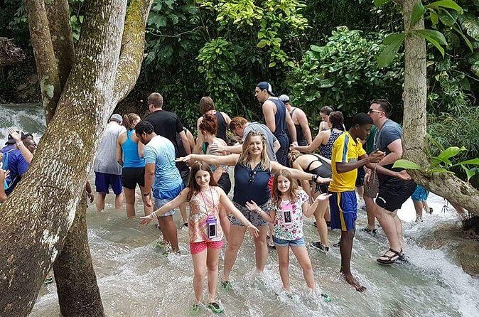 Falls Flyer Zipline and Dunn's River Falls Adventure Tour from Falmouth - The Sum Up: Who Will Love This Tour?