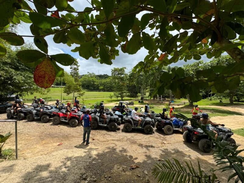 Falmouth: Blue Hole and Secret Falls Tour with ATV Ride - What Travelers Say