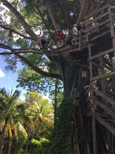 Falmouth: Dunn's River Falls, Blue Hole, and Zipline Tour - A Detailed Look at the Experience