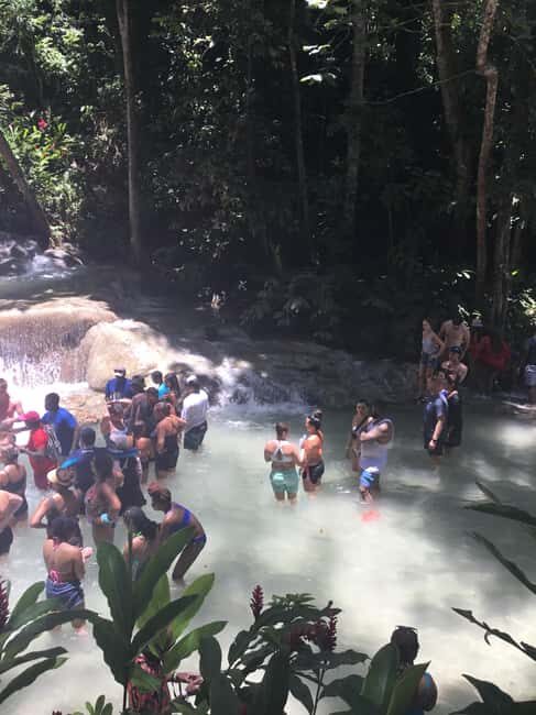 Falmouth: Dunn's River Falls, Blue Hole, and Zipline Tour - Final Thoughts