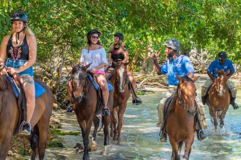 Falmouth: Horseback Riding in the Ocean & Bamboo Rafting - The Sum Up