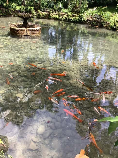 Falmouth: Konoko Falls and White River Tubing Day Tour - Introduction: What This Tour Offers and Why It’s Worth Considering