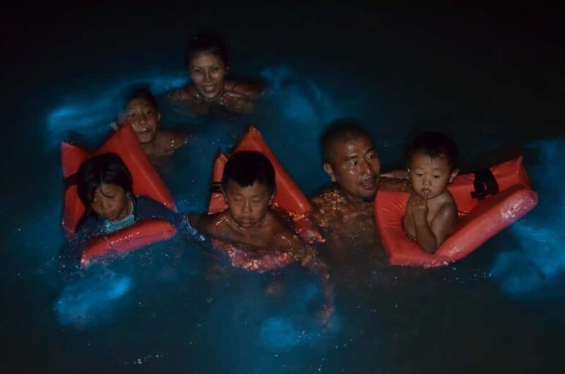 Falmouth: Luminous Lagoon Boat Tour - Meeting Point and Logistics